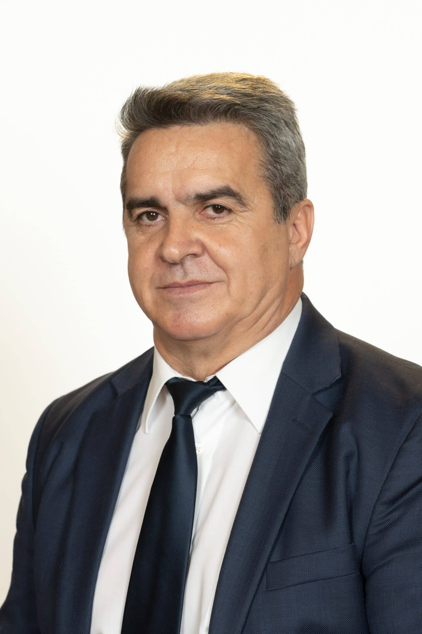 Negru Corneliu - Declarație politică - Curtea Constituțională a ...